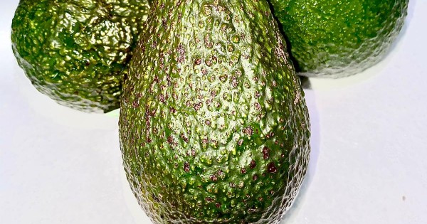 Avocado (New Zealand) 1nos